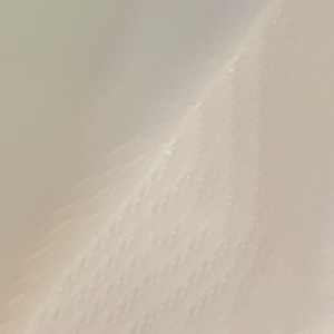 Ox EV Side by Side - TRACKER Off Road